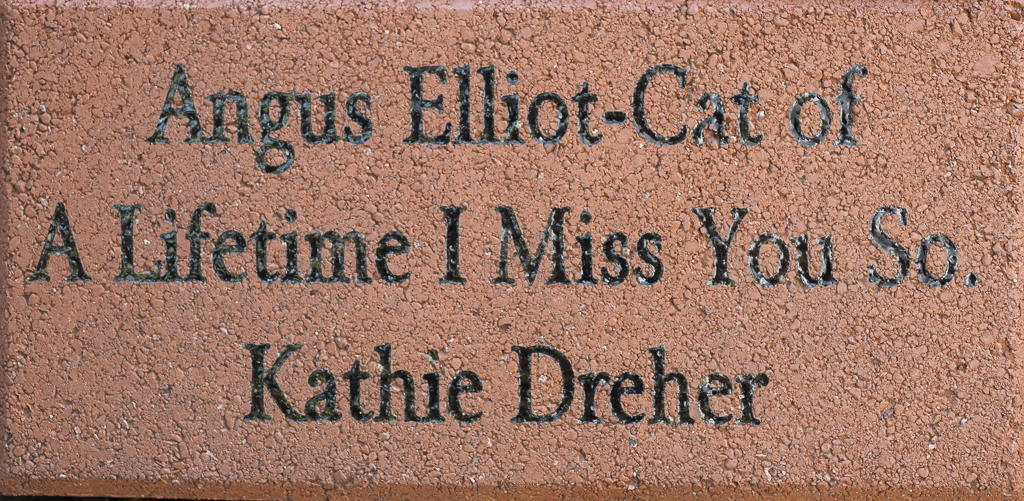 Angus Elliot-Cat of A Lifetime I Miss You So Kathie Dreher | School of ...