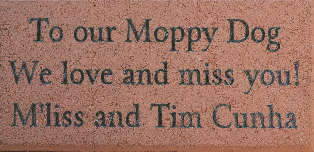 To our Moppy Dog We love and miss you! M'liss and Tim Cunha | School of ...