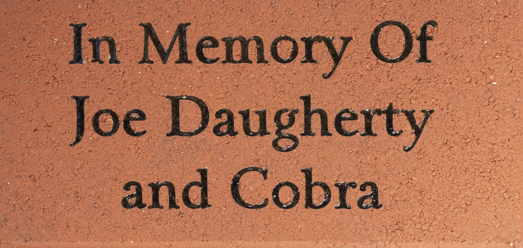 In Memory Of Joe Daugherty and Cobra | School of Veterinary Medicine