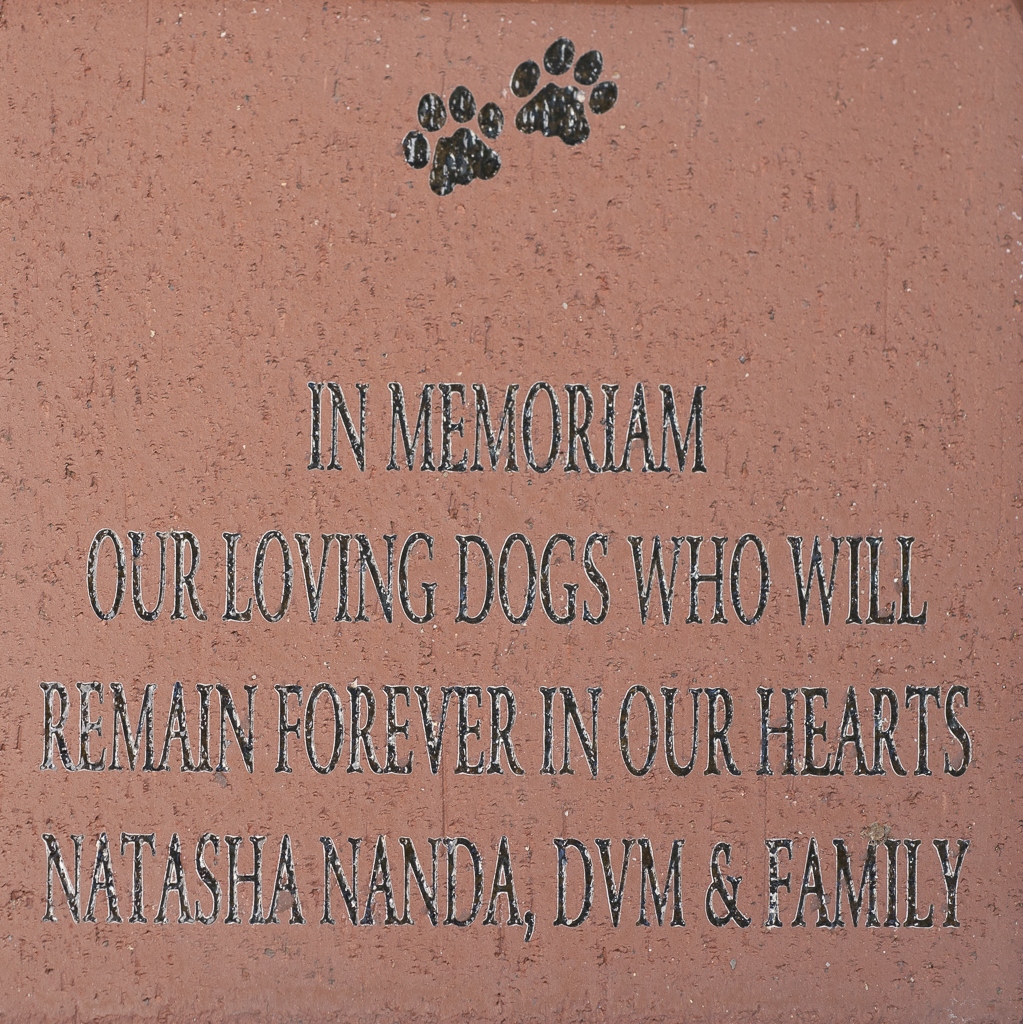 IN MEMORIAM OUR LOVING DOGS WHO WILL REMAIN FOREVER IN OUR HEARTS ...