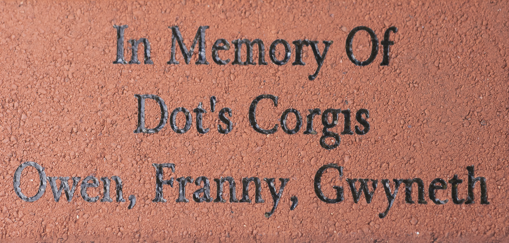 In Memory Of Dot's Corgis Owen, Franny, Gwyneth | School of Veterinary ...