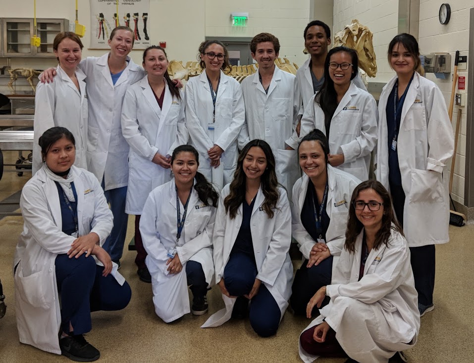 Pre-Vet Outreach and Recruitment | School of Veterinary Medicine