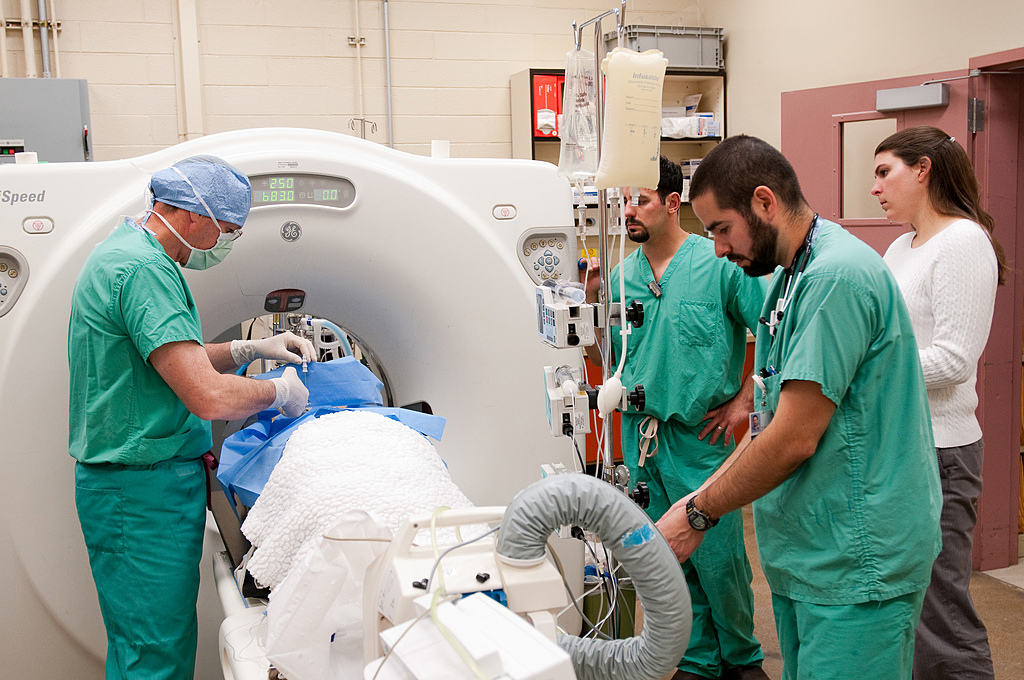 Computed Tomography (CT) | School of Veterinary Medicine