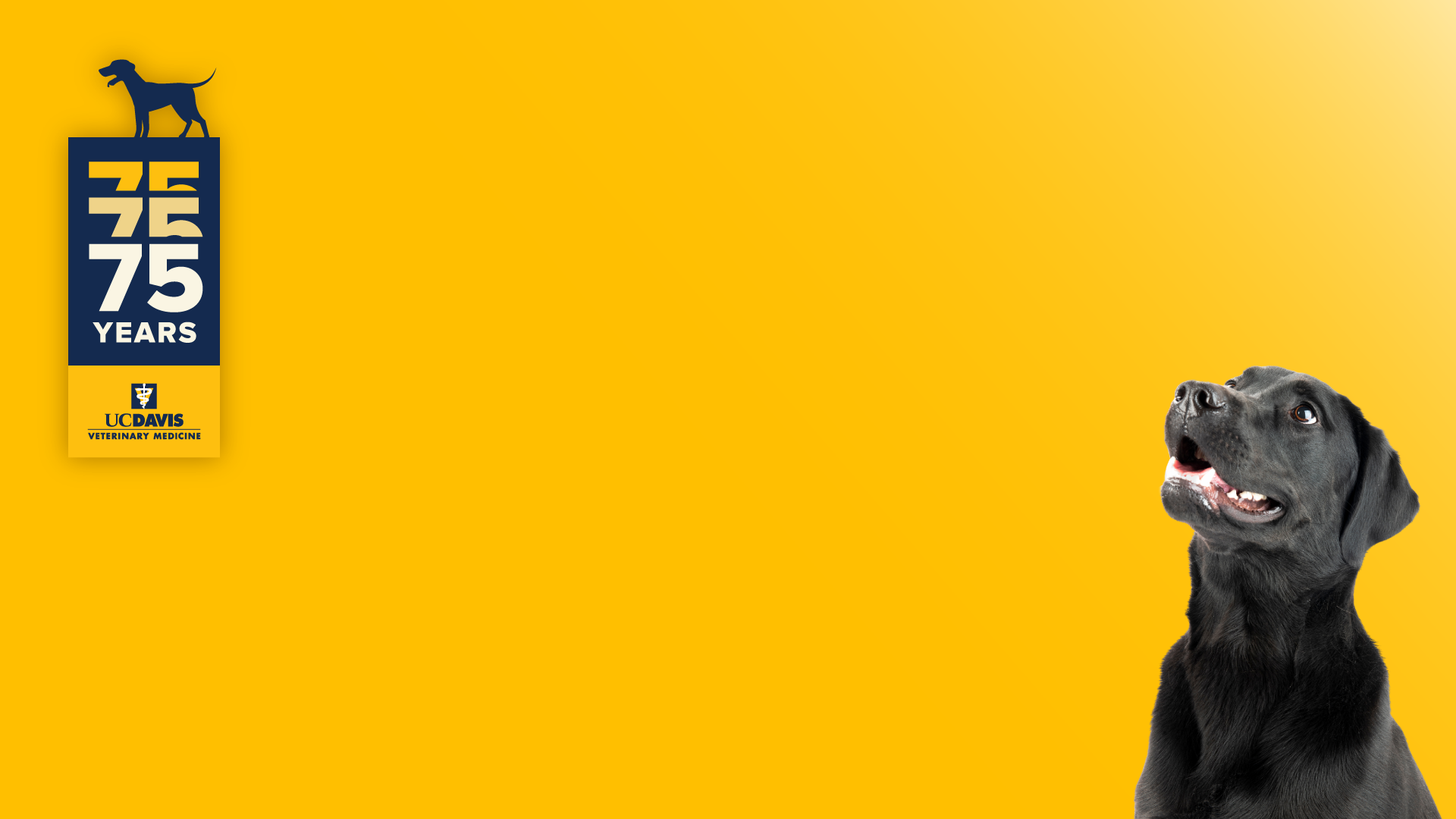 Uc Davis Veterinary Logo