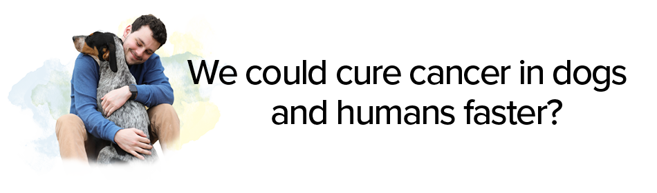 What if? We could could cure cancer in dogs and humans faster? | School ...