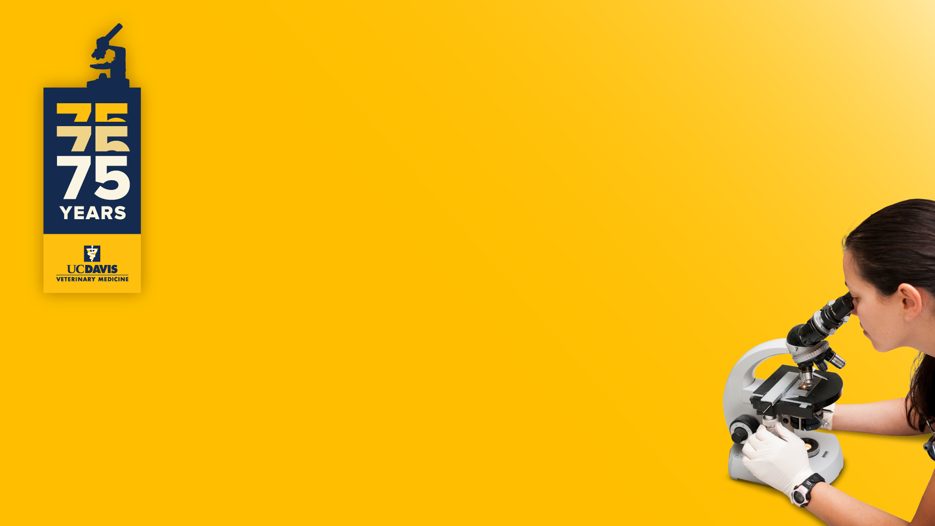 School of Veterinary Medicine - Vet Med Zoom Backgrounds