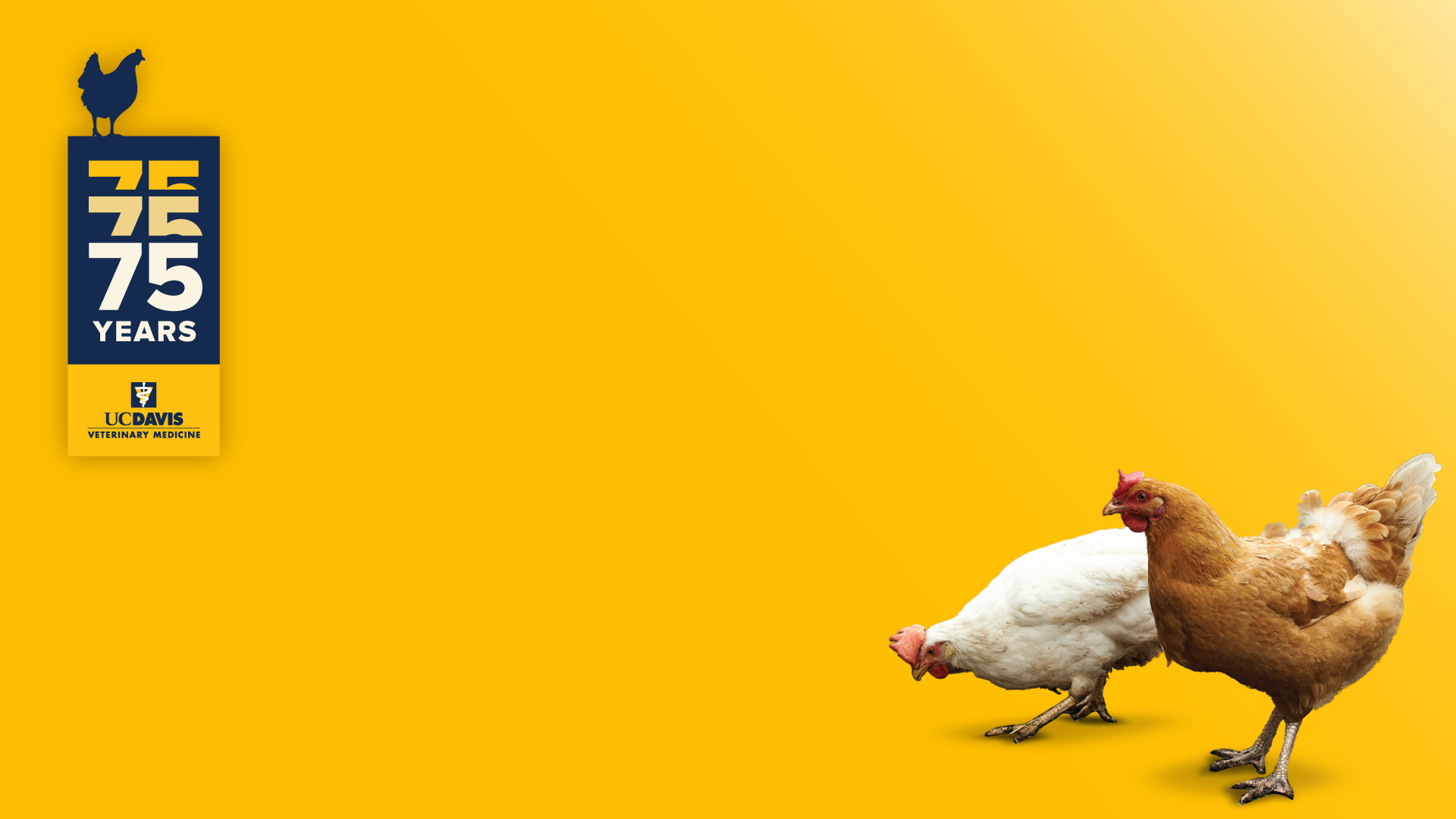 School of Veterinary Medicine - Vet Med Zoom Backgrounds