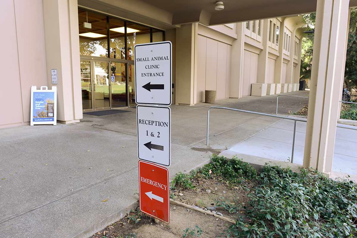 School of Veterinary Medicine - Small Animal Reception A