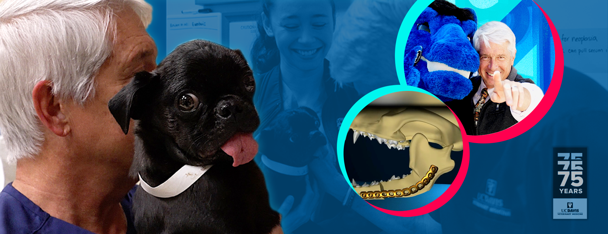 UC Davis School of Veterinary Medicine