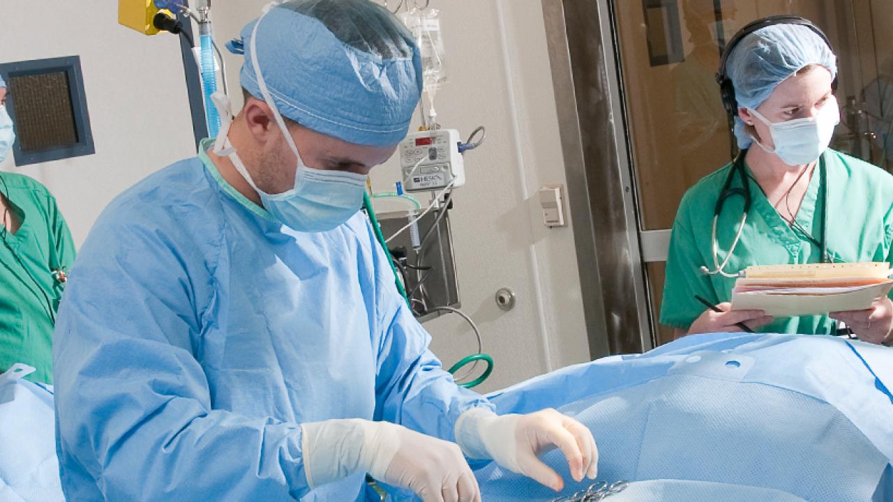 Community Surgery Service | School of Veterinary Medicine