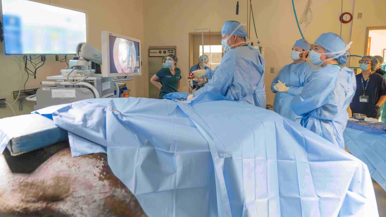 foraminotomy surgery