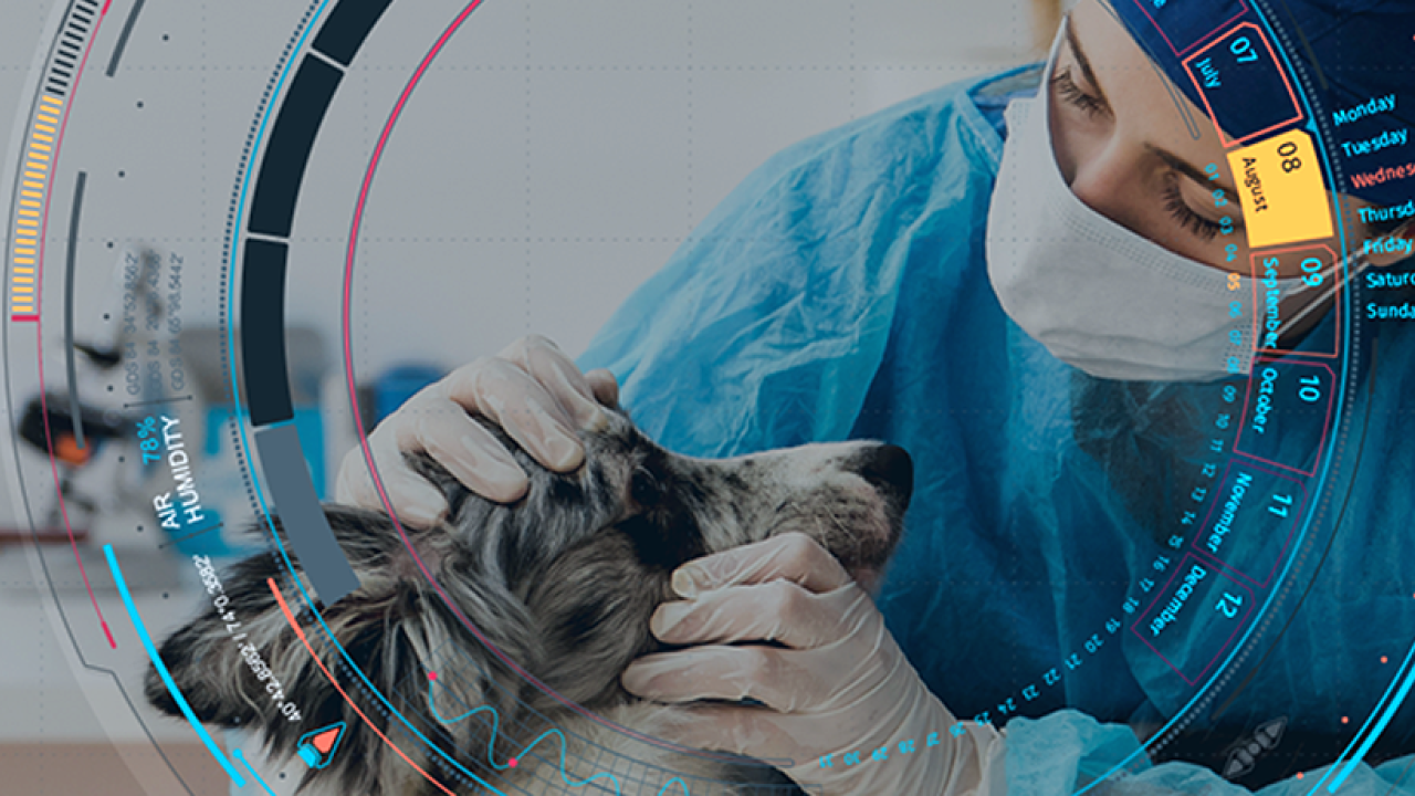 Goal 2 - Lead in Innovation | School of Veterinary Medicine